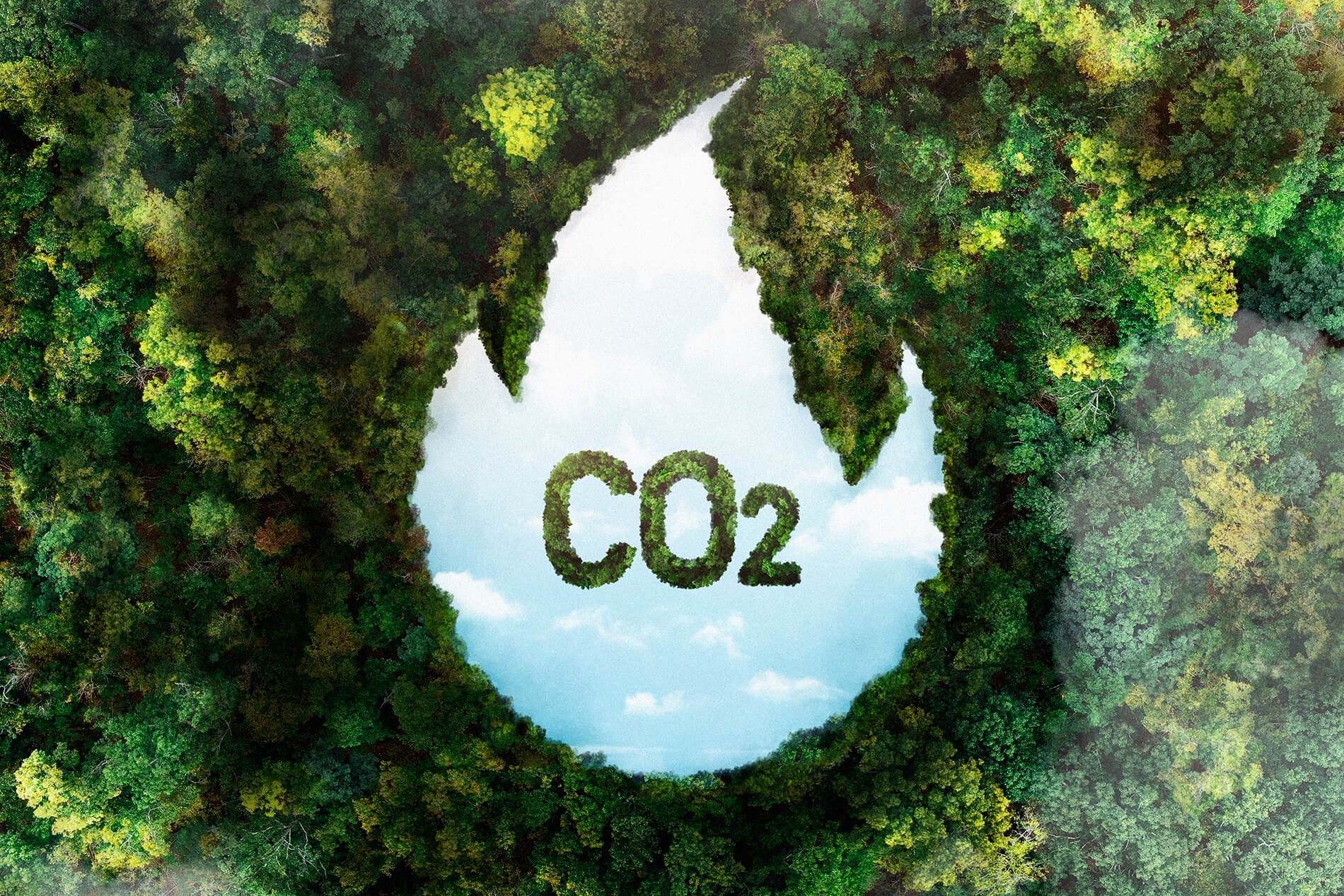 Cómo puedo calcular y reducir mi huella de carbono personal