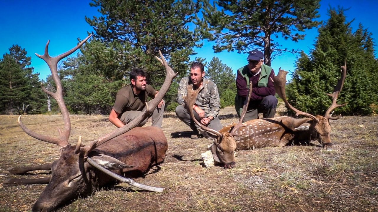 Qué habilidades y técnicas utilizan los hombres al cazar animales salvajes