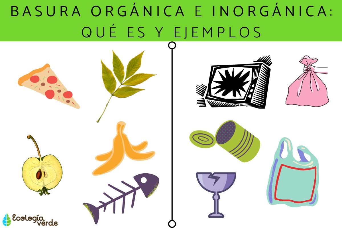 Qué ejemplos de cosas orgánicas e inorgánicas existen en la naturaleza