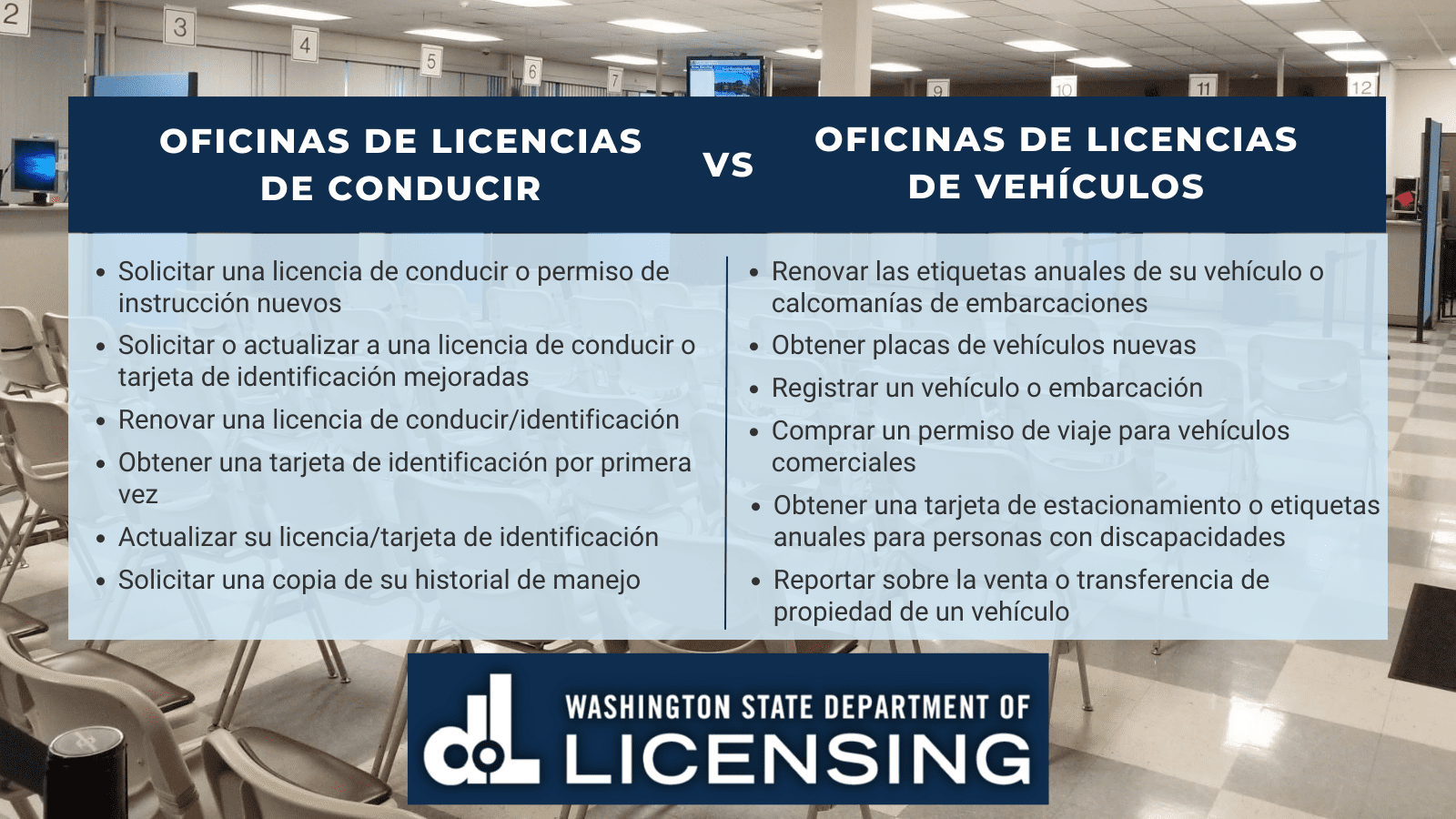 Qué información necesitas sobre las licencias federales en SCT Gob MX