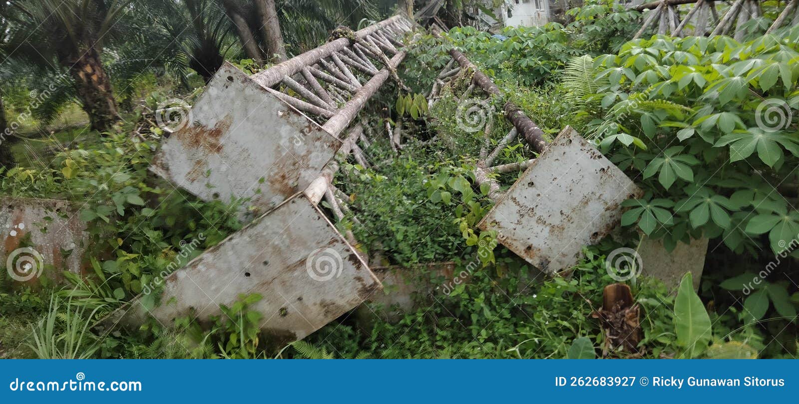 Cuánto tiempo tarda en degradarse una pila y cómo afecta al medio ambiente