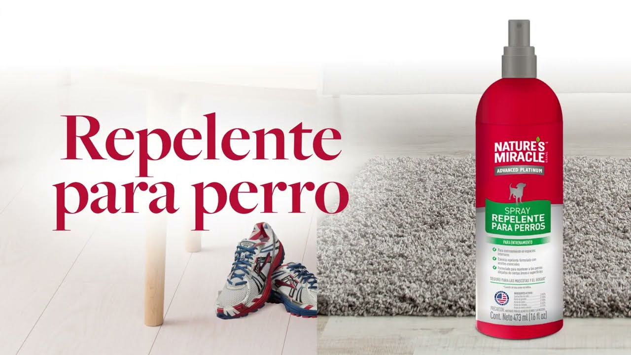 Qué líquido puedo usar para espantar perros de manera efectiva